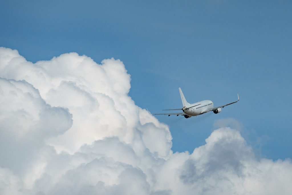 Décryptage des Ailes : Les Secrets de la Structure Aérienne